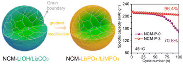 Gradient and multilevel surface modification of Ni-rich layered cathodes by gas penetration for ...