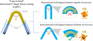 Designing interconnected passages by “legs-to-head” directional U-shape ...