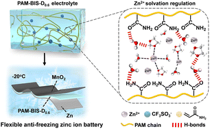 Organohydrogel electrolytes with solvated structure regulation for ...