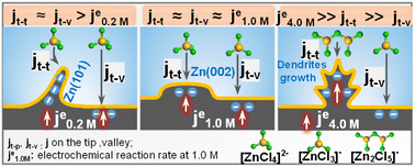 Solvation structure regulation of deep eutectic solvents: stabilization ...