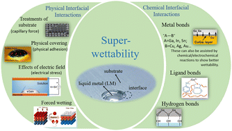 Interfacial interaction-induced super-wettability of gallium-based ...