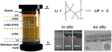 Dendrite growth and inhibition in all-solid-state lithium metal ...