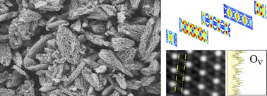 Construction of macroporous MOF-derived single leaf-like cellular ...