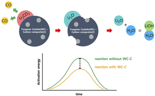 Carbon–metal complex as a functional material that governs the ...