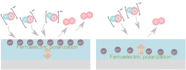 Oxygen vacancy redistribution and ferroelectric polarization relaxation ...