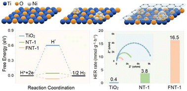 Fluorinated carbon encapsulated NiO cluster/TiO2 nanotubes as a robust ...