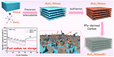 A hierarchical nano-MoS2 flake/micro-MXene lamellar complex structure ...