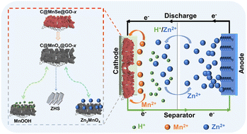 Rationally designed carbon-encapsulated manganese selenide composites ...