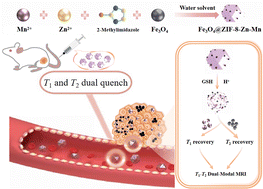 Tumor microenvironment responsive T1–T2 dual-mode contrast agent Fe3O4 ...