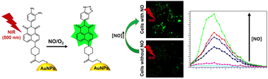 Gold nanoparticle-based two-photon fluorescent nanoprobe for monitoring ...