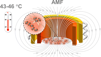 Application of biocompatible and ultrastable superparamagnetic iron(iii ...