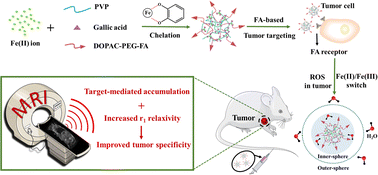 A tumor-targeting and ROS-responsive iron-based T1 magnetic resonance ...