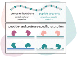 Rational design of poly(peptide-ester) block copolymers for enzyme ...