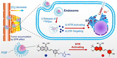 A hypoxia-activatable theranostic agent with intrinsic endoplasmic ...