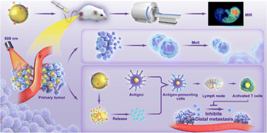 Immunological gadolinium-doped mesoporous carbon nanoparticles for ...