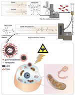 An X-ray activatable gold nanorod encapsulated liposome delivery system ...