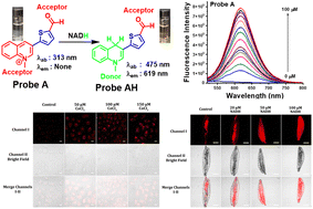 Thiophene-based organic dye with large Stokes shift and deep red ...