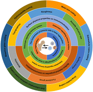 Integrated osteoimmunomodulatory strategies based on designing scaffold ...