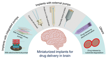 Miniaturized neural implants for localized and controllable drug ...