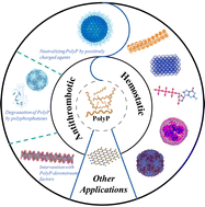 Polyphosphate as an antithrombotic target and hemostatic agent ...