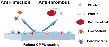 A robust mixed-charge zwitterionic polyurethane coating integrated with antibacterial and ...