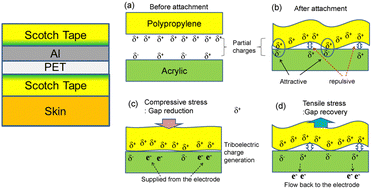Self-powered triboelectric wearable biosensor using Scotch tape ...