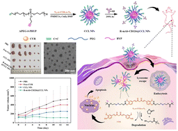 A CD326 monoclonal antibody modified core cross-linked curcumin ...
