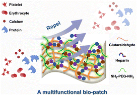 A multifunctional bio-patch crosslinked with glutaraldehyde for ...