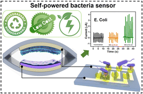Carbohydrate–protein interaction-based detection of pathogenic bacteria ...