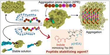 Synthetic macromolecular peptide-mimetics with amino acid substructure ...