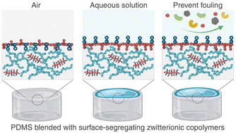 Surface-segregating zwitterionic copolymers to control poly ...
