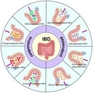 Orally-administered nanomedicine systems targeting colon inflammation ...