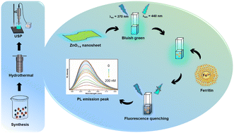 Two-dimensional oxygen-deficient ZnO1−x nanosheet as a highly selective and sensitive ...