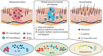 Wound microenvironment self-adaptive all-in-one hydrogel for rapid ...