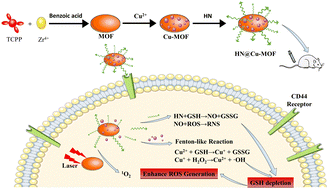 All-in-one HN@Cu-MOF nanoparticles with enhanced reactive oxygen ...