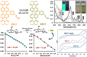 A coronene diimide based radical anion for detection of picomolar H2O2 ...