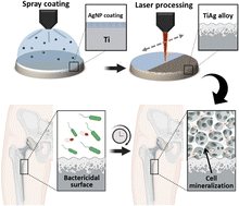 Laser-assisted surface alloying of titanium with silver to enhance ...