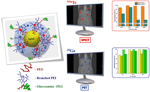 Radiolabeled multi-layered coated gold nanoparticles as potential ...