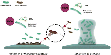 A redox-responsive macrocycle based on the crown ether C7Te for ...