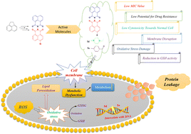 Bacterial cell death to overcome drug resistance with multitargeting ...