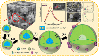 Core–rim structure evolution and electric properties of Ca–Mg–Dy-co ...
