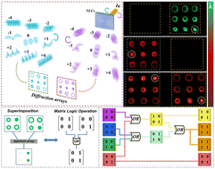 Wavelength-adaptive optical angular momentum recognizer via ...