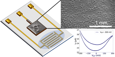 Cu-modified electrolyte-gated transistors based on reduced graphene ...