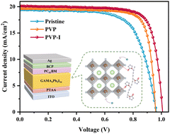 The synergistic passivation effect of functionally doped povidone–iodine on quasi-2D perovskite ...