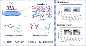 Janus-type ionic conductive gels with single-sided adhesiveness ...