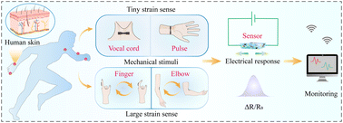 Composite biomaterial for mimetic electric skin generated by conductive ...