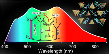Singlet exciton and singlet/triplet self-trapped excitons for ultra ...