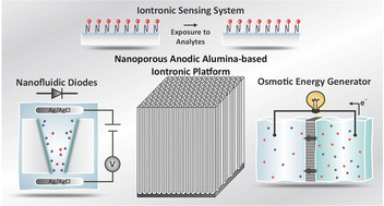 Nanoporous anodic alumina-based iontronics: fundamentals and ...