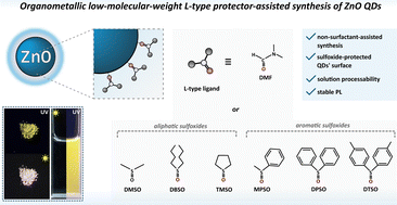 Organometallic one-pot synthesis of ZnO quantum dots coated by sulfoxides as L-type ligands ...