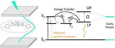 Multi-resonance TADF in optical cavities: suppressing excimer emission ...